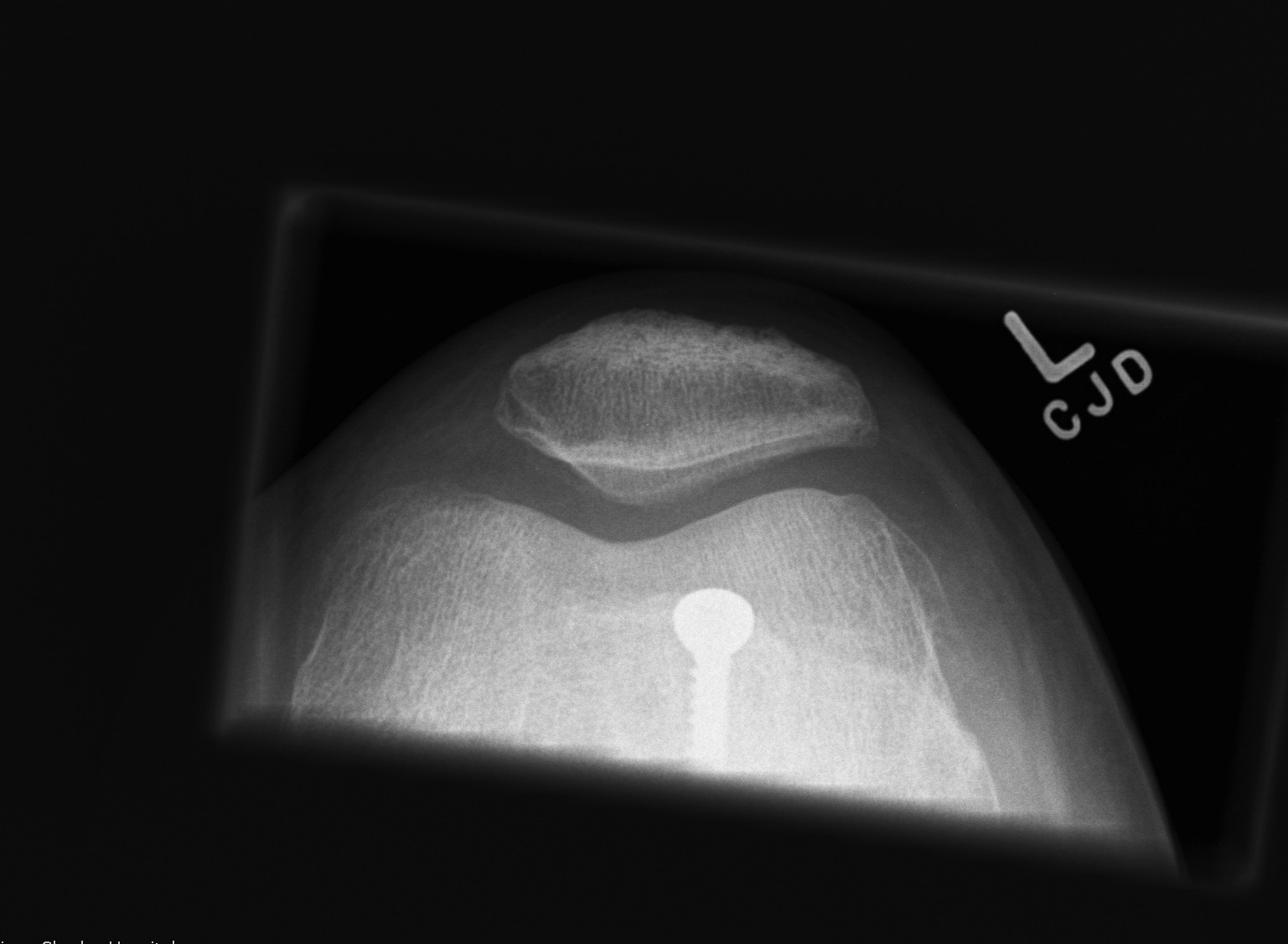 Management | The Bone School