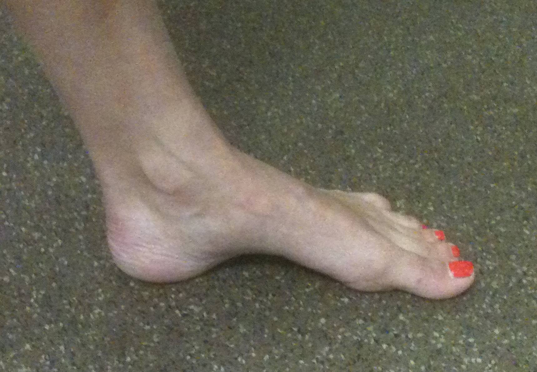 examination | The Bone School