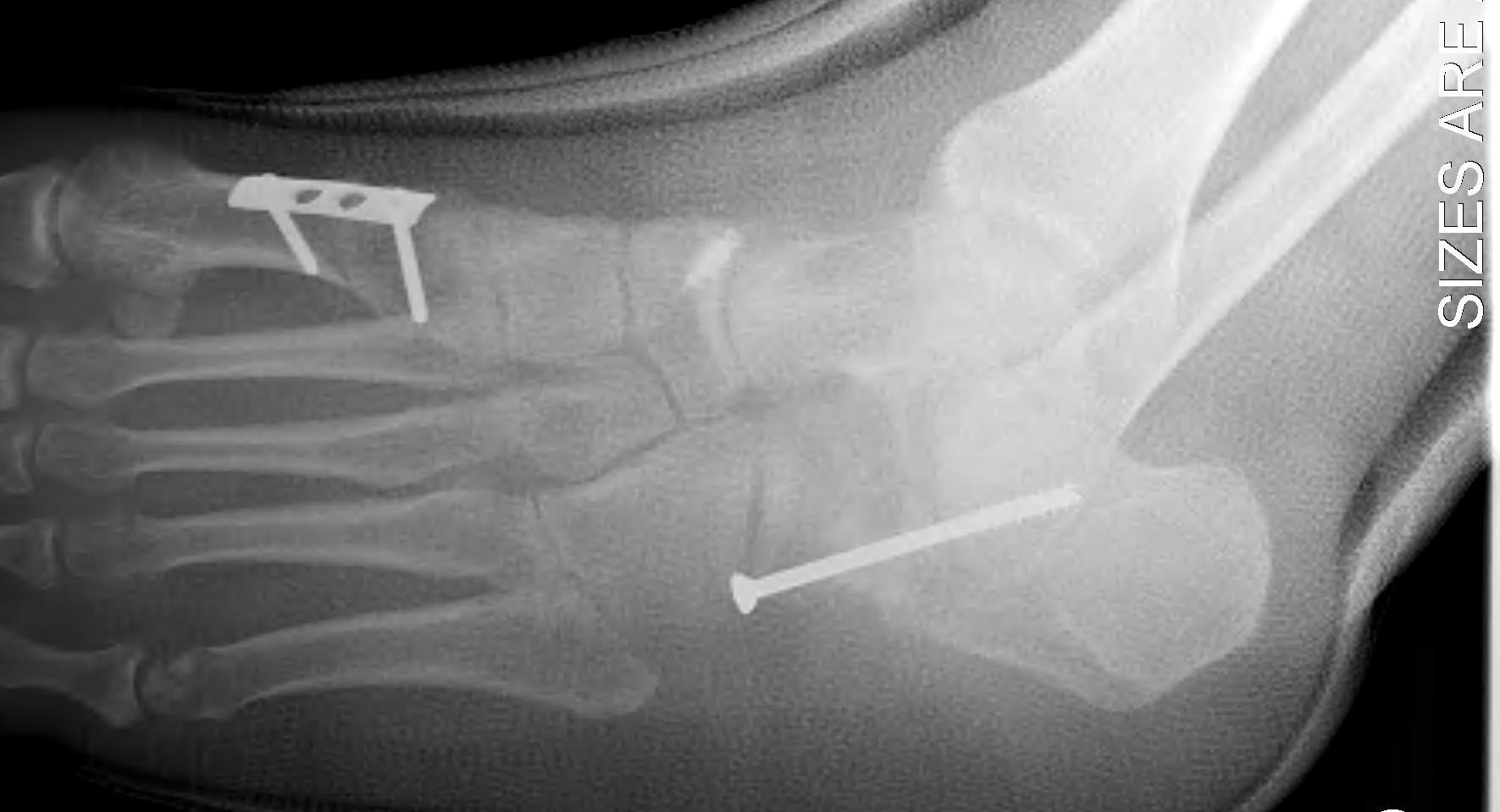 Management | The Bone School